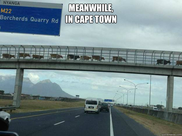 Meanwhile In Cape Town Meanwhile In Cape Town Quickmeme