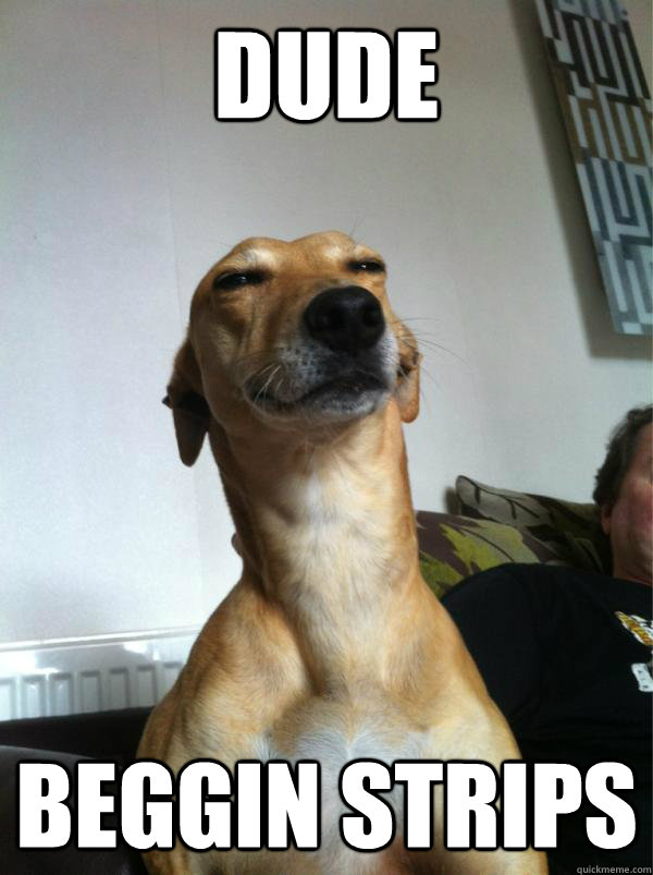 DUDE Beggin strips - Misc - quickmeme