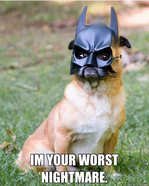 IM YOUR WORST NIGHTMARE. - Batman pug - quickmeme