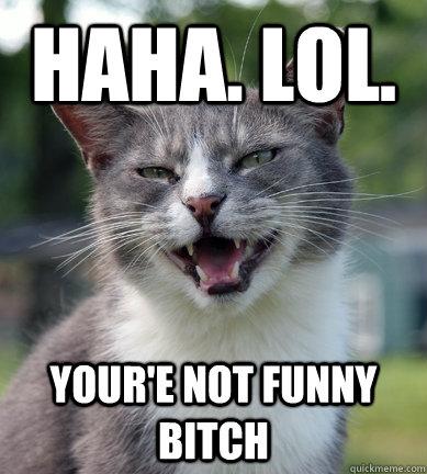 HAHA. LOL. YOUR'E NOT FUNNY BITCH - Misc - quickmeme