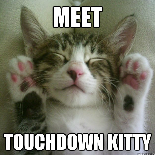 Meet Touchdown Kitty - TDKitty - quickmeme