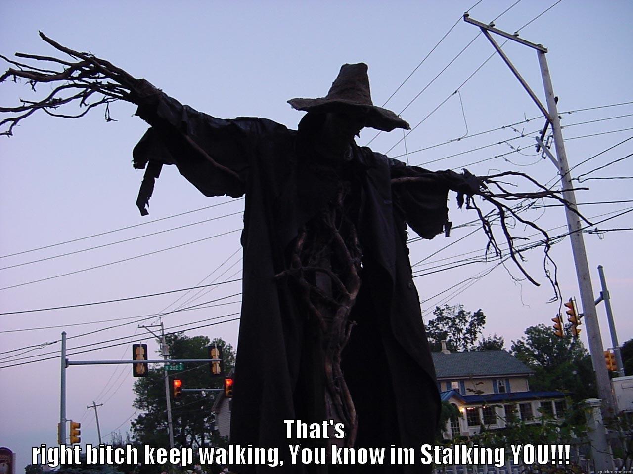 Stalker Scarecrow - quickmeme
