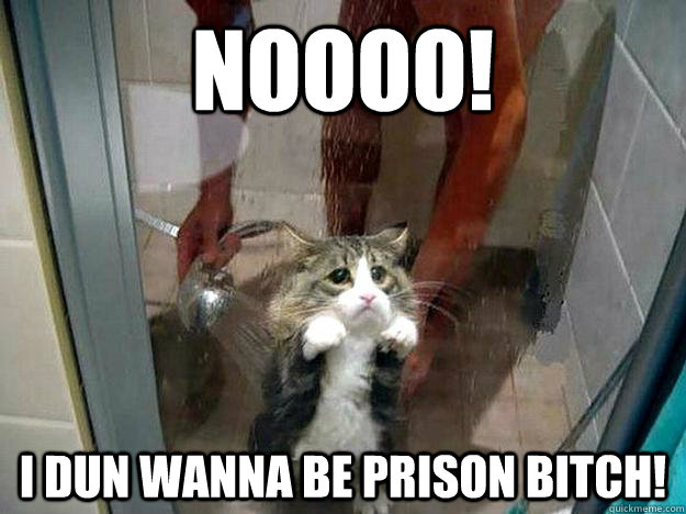 Noooo! I dun wanna be prison bitch! - Shower kitty - quickmeme