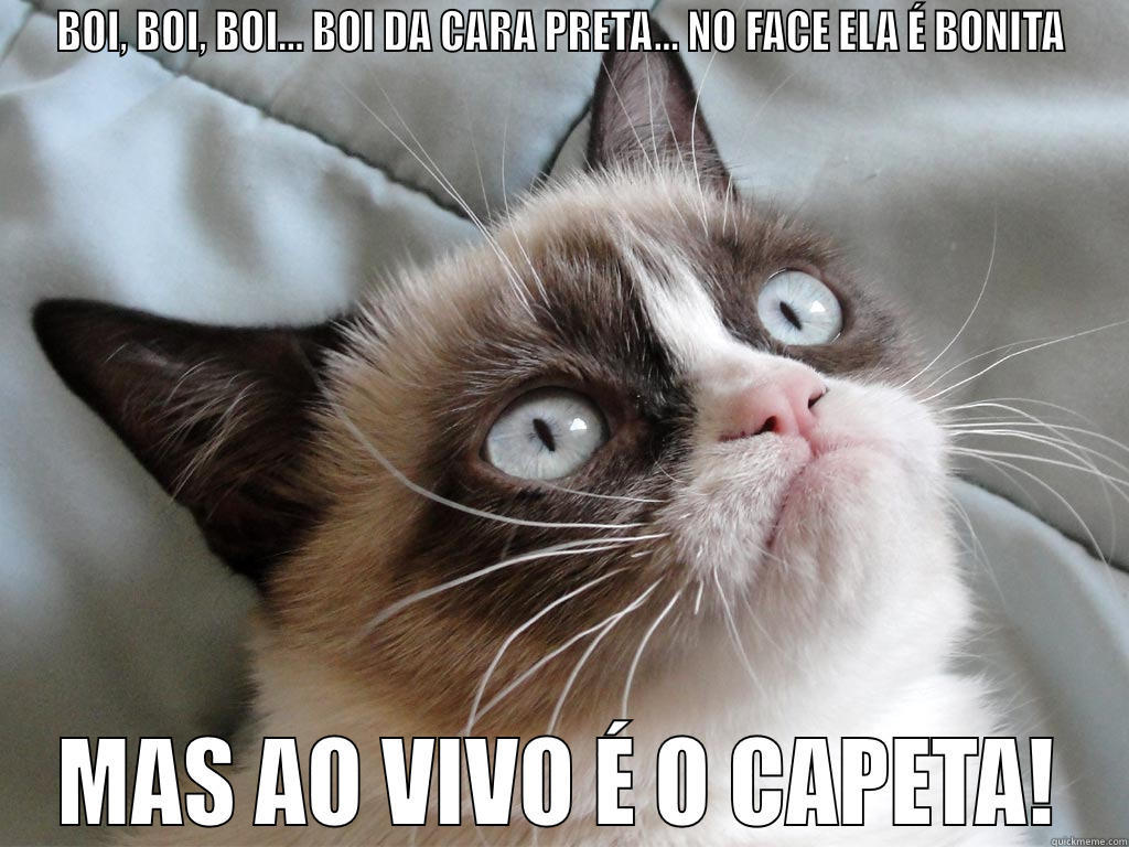 Boi da cara preta - quickmeme