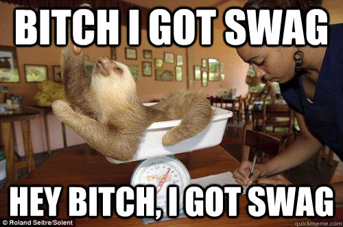 Bitch I got swag Hey Bitch, I got swag - Dramatic Sloth - quickmeme