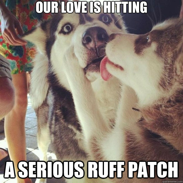 Our love is hitting a serious ruff patch - Relationship Dog - quickmeme