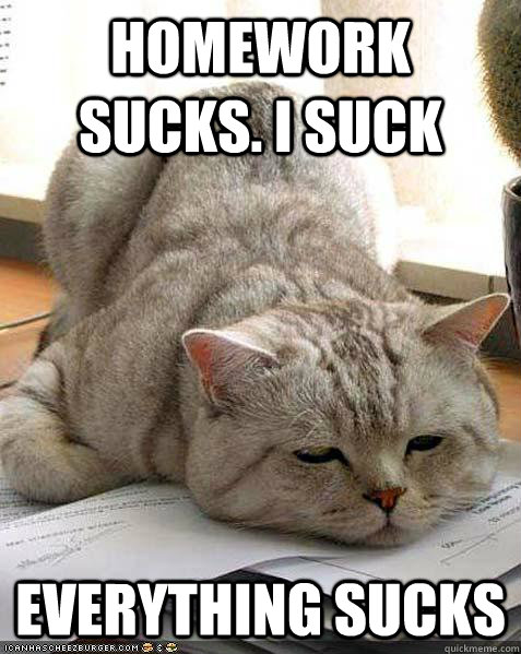 Homework sucks. I suck Everything Sucks - Misc - quickmeme