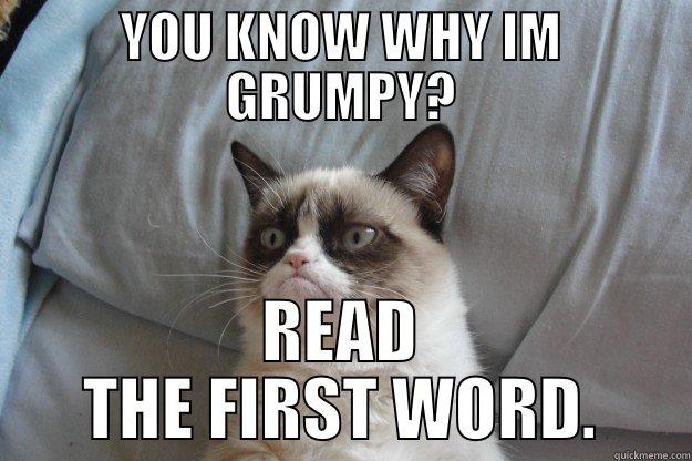 YOU MAKE ME GRUMPY - quickmeme